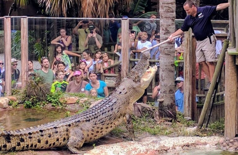 Alligator Farm VIP Behind the Scenes Tour | Whiskey Wine and Wildlife